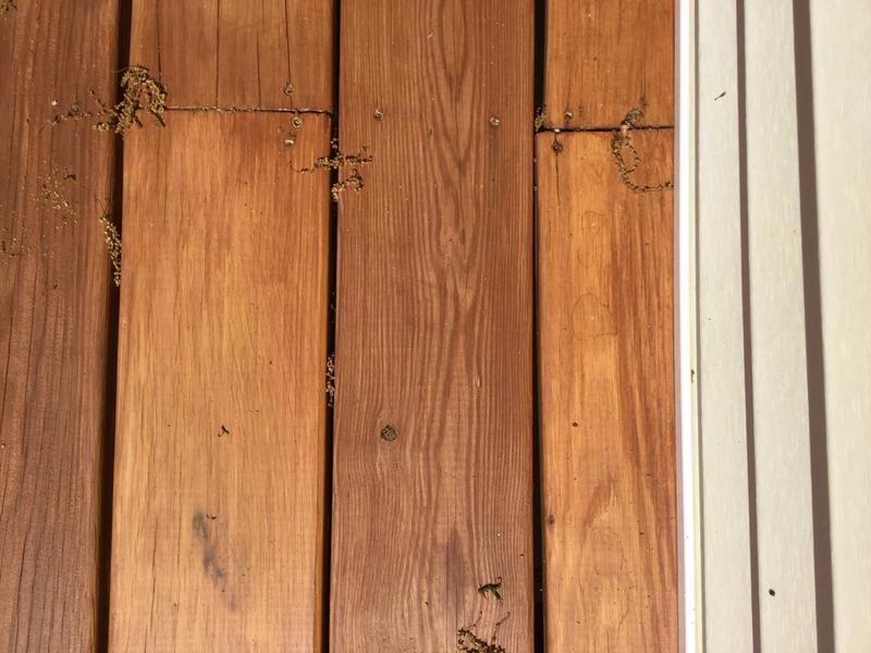 Thompson's WaterSeal Pre-tinted Timber Brown Toner Exterior Wood Stain ...