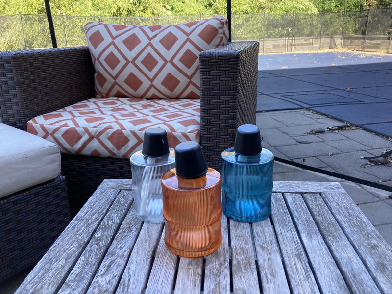 TIKI Assorted Carved Glass Tabletop Torch 5.8 in in the Insect ...