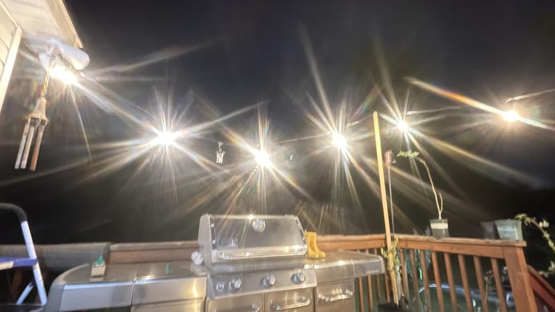 TIKI 36-ft Plug-in Clear Outdoor String Light with 12 Clear LED Edison ...