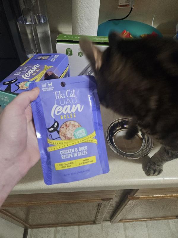 Tiki Cat Luau Lean Gelee Chicken & Duck Wet Cat Food 2.8oz, 12-Pack