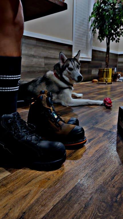 Timberland Pro Men's Boondock BOA 6 Inch Composite Toe Composite Plate ...