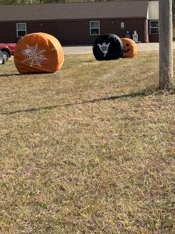 Country Canvas Holiday Bale Cover, 4 in. x 8.5 in. x 11 in., Christmas ...