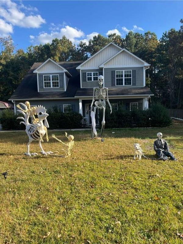 Red Shed 6 ft. Rooster Skeleton at Tractor Supply Co