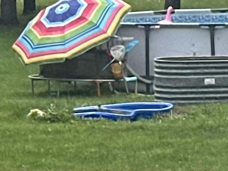 Funsicle Quick Fun Curve Pool, Blue at Tractor Supply Co