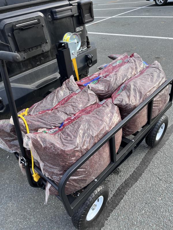 Great Day 350 lb. Hitch-N-Go Vehicle Hitch-Mounted Powder-Coat Welded ...