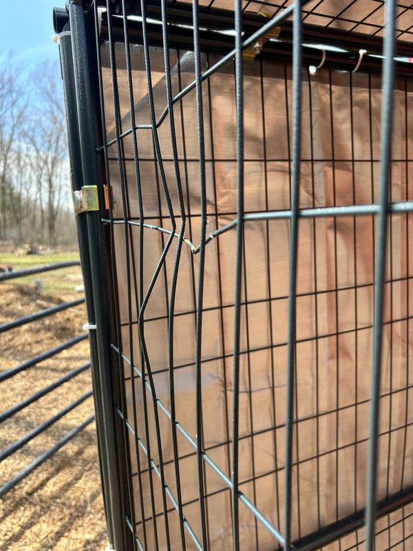 Producer's Pride Universal Poultry Pen, 24 Chicken Capacity, 8 ft. x 8 ...