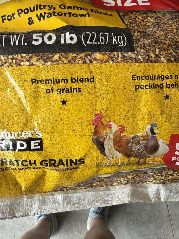 Producer's Pride Scratch Grains Poultry Feed, 50 lb. Bag at Tractor ...