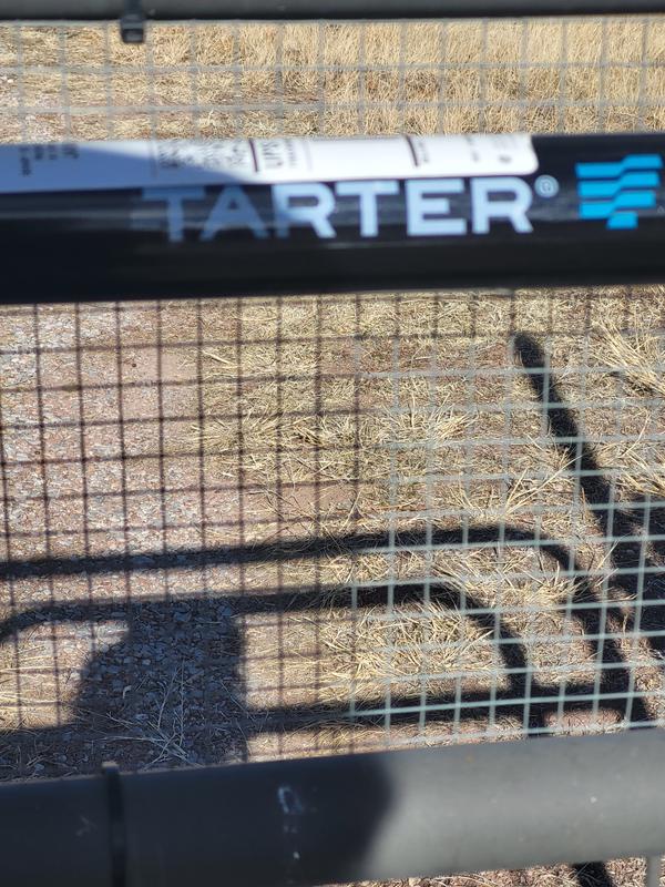 Tarter 3 ft. x 50 in. Wire Filled Gate, 2 in. x 4 in. Mesh, Black at ...