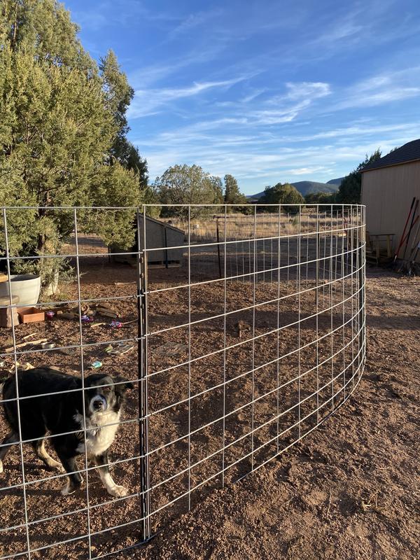 OKBRAND 8 ft. x 50 in. Handy Panel Max 50 10-Line Cattle Feedlot Fence ...