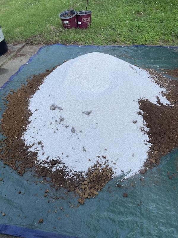 Black Gold Peat Moss at Tractor Supply Co