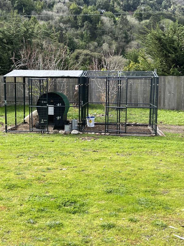 Producer's Pride Universal Poultry Pen, 24 Chicken Capacity, 8 ft. x 8 ...