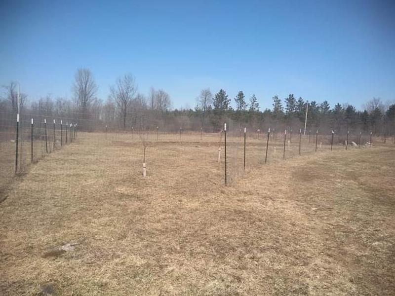 Red Brand 100 ft. x 6 ft. Welded Steel Wire Garden Fence, 2 in. x 4 in ...