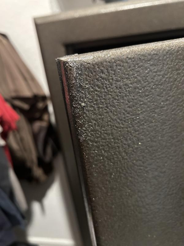 Cannon 81 Long Gun 31.52 cu. ft. Electronic Lock Gun Safe, 75 Min. Fire ...