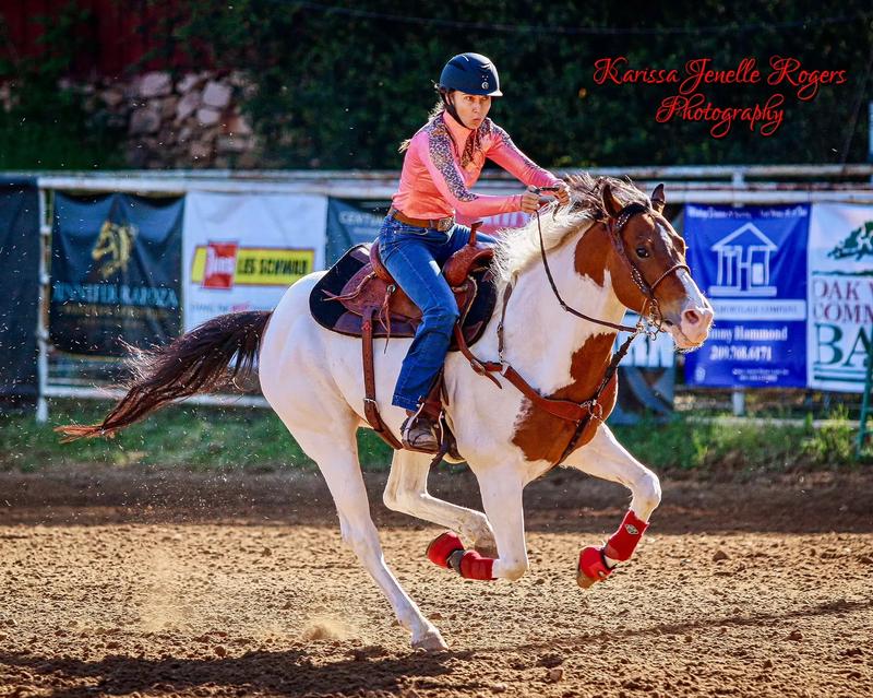 Purina Omolene #200 Performance Horse Feed, 50 lb. Bag at Tractor Supply Co