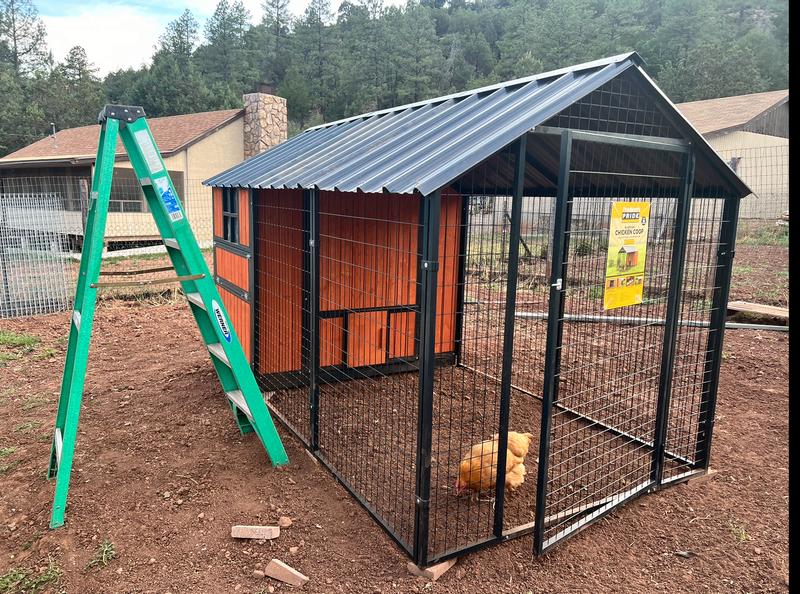 Producer's Pride Guardian Chicken Coop, 14 Chicken Capacity at Tractor ...