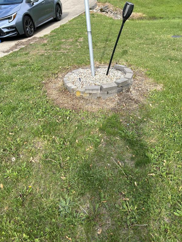 Compare-N-Save 1 gal. 41% Glyphosate Grass and Weed Killer Concentrate ...