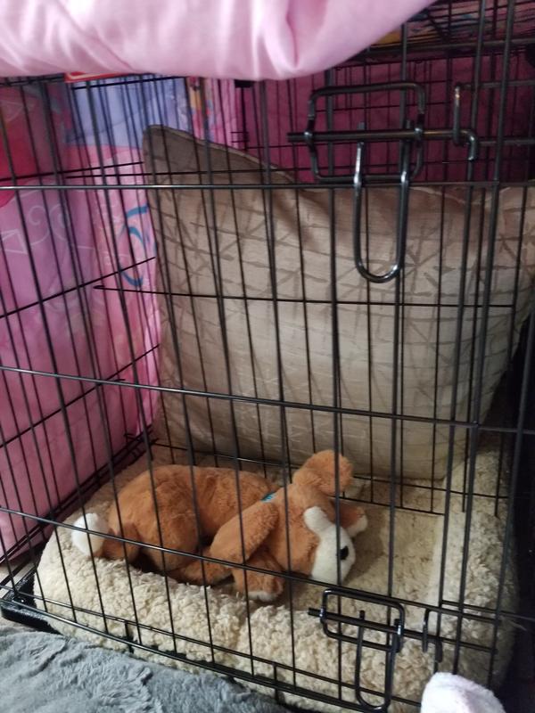 Lucky Dog Whisper Glide Sliding 2-Door Steel Dog Crate, Corner ...