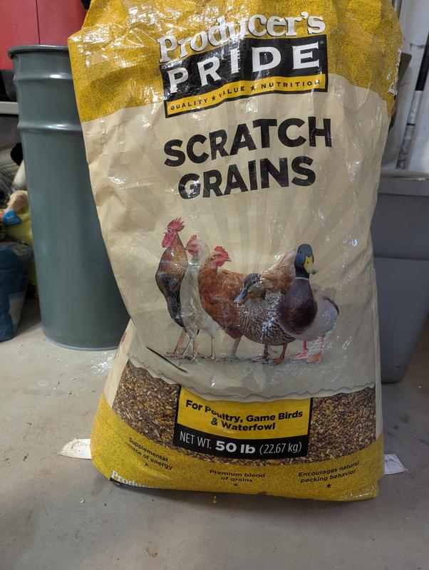Producer's Pride Scratch Grains Poultry Feed, 50 lb. Bag at Tractor ...