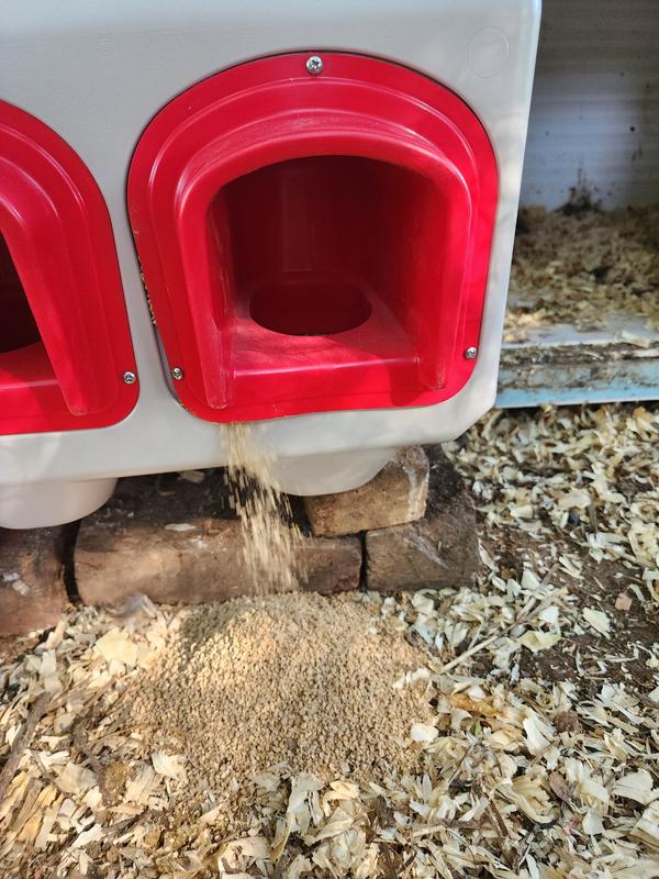 OverEZ 50 lb. Chicken Feeder at Tractor Supply Co