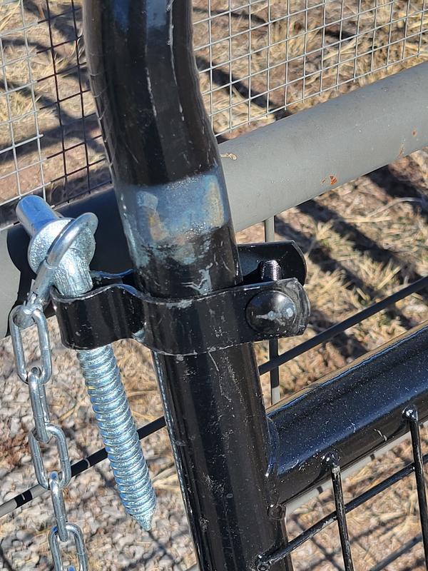 Tarter 3 ft. x 50 in. Wire Filled Gate, 2 in. x 4 in. Mesh, Black at ...