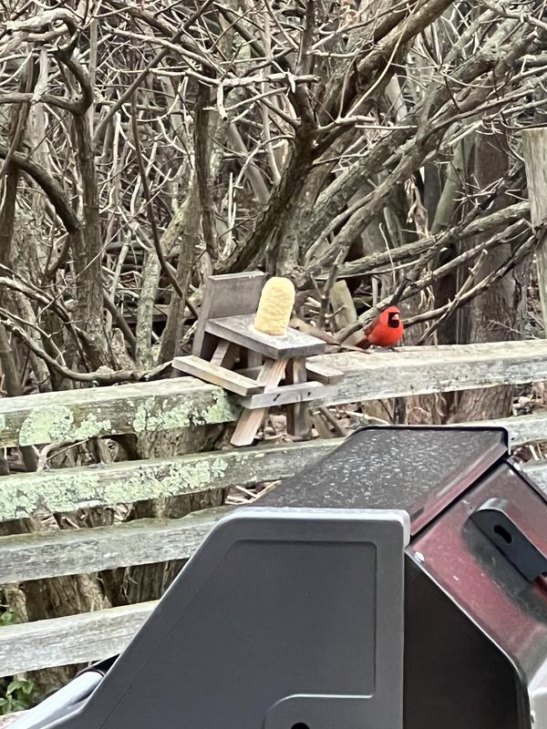 Royal Wing Sweet Corn Log Squirrel Food, 32 oz. at Tractor Supply Co