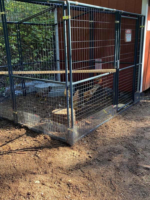 Producer's Pride Universal Poultry Pen, 24 Chicken Capacity, 8 ft. x 8 ...