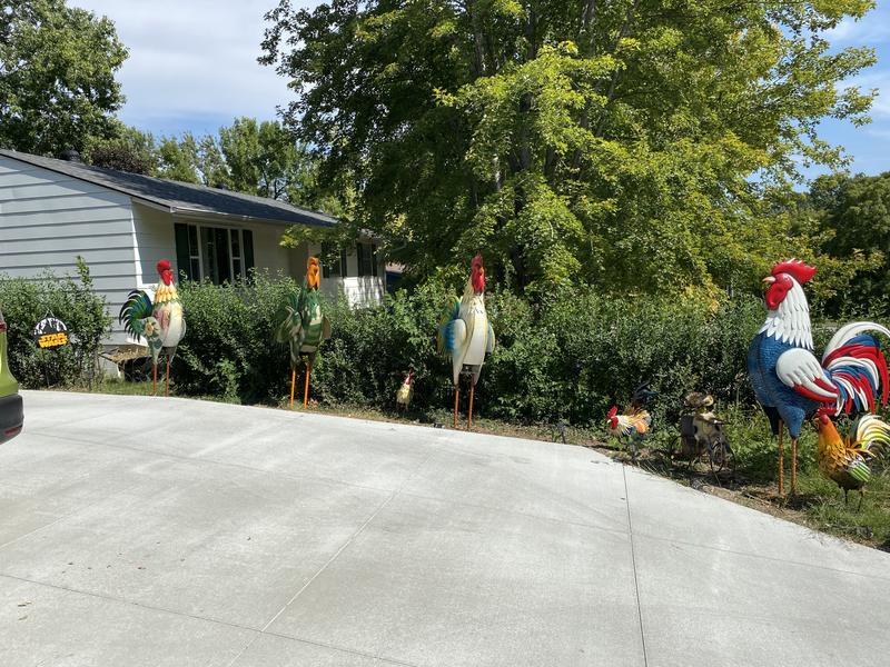 Red Shed Camo Metal Rooster, 6 ft., Green & Orange at Tractor Supply Co