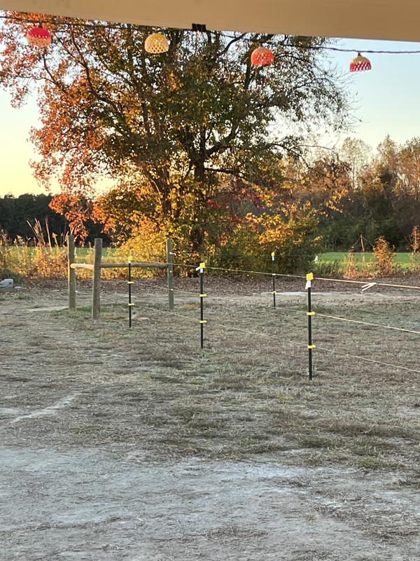 8 ft. x 4 in. Treated Wood Fence Post at Tractor Supply Co