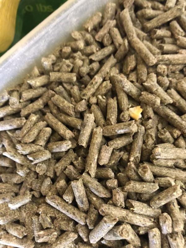 DuMOR Classic Diet Pelleted Corn-Free Pet Rabbit Food, 20 lb. Bag at ...