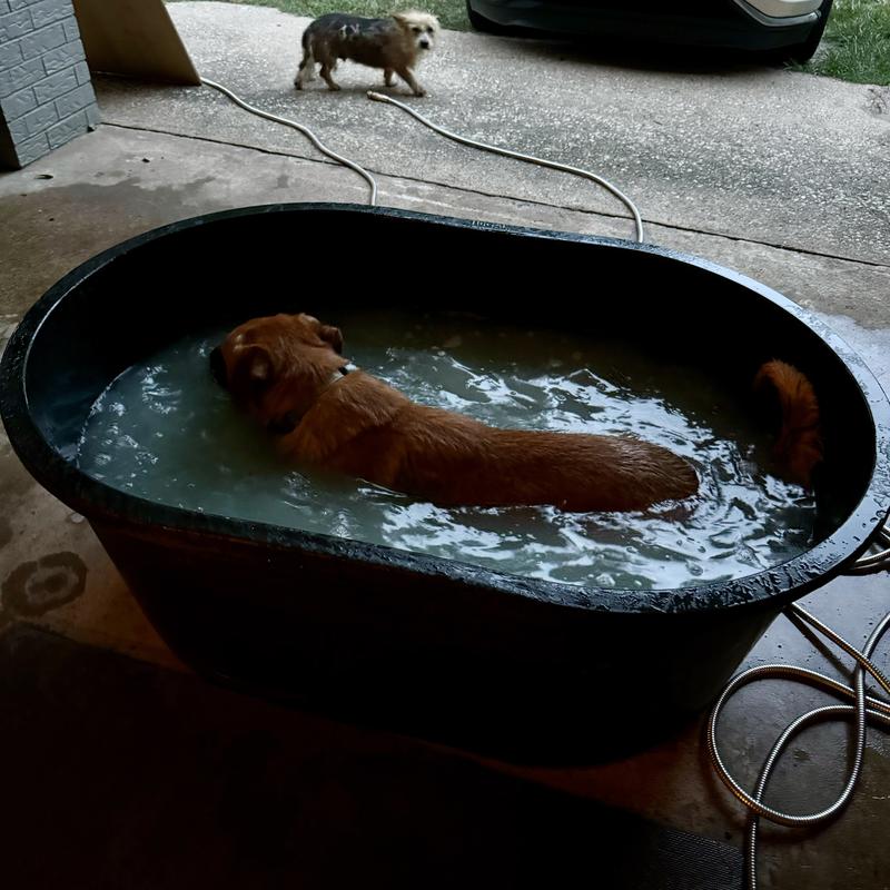 Tuff Stuff 110 gal. Super-Duty Oval Stock Tank at Tractor Supply Co