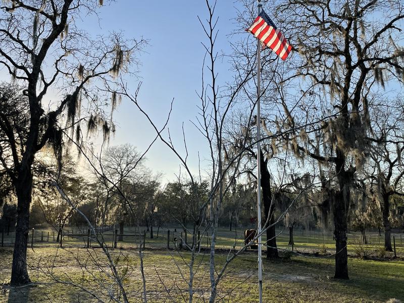 DuMOR Equine Fly Spray, 1 qt. at Tractor Supply Co