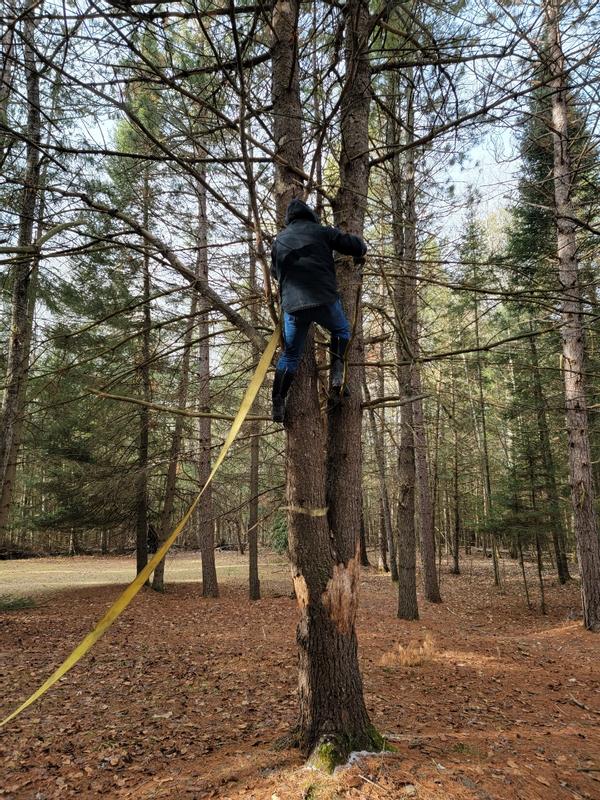 Carhartt Men's Loose Fit Firm Duck Insulated Bib Overall at Tractor ...