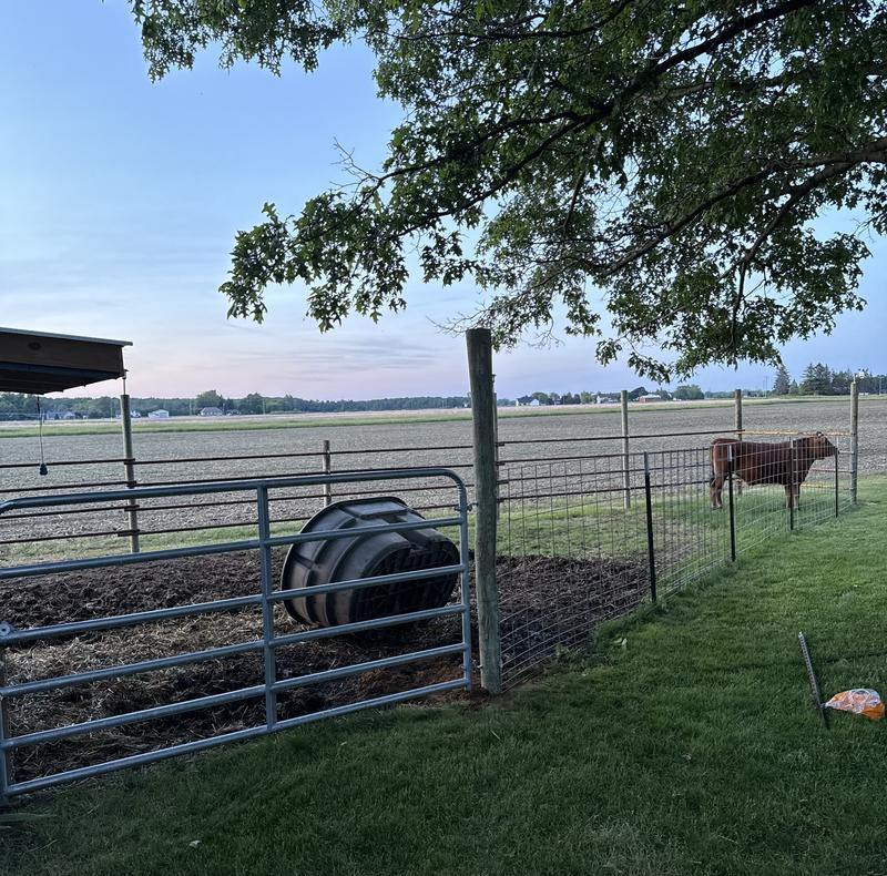 CountyLine 8 ft. x 50 in. 6-Bar Galvanized Tube Gate, 1-3/4 in. Tube at ...