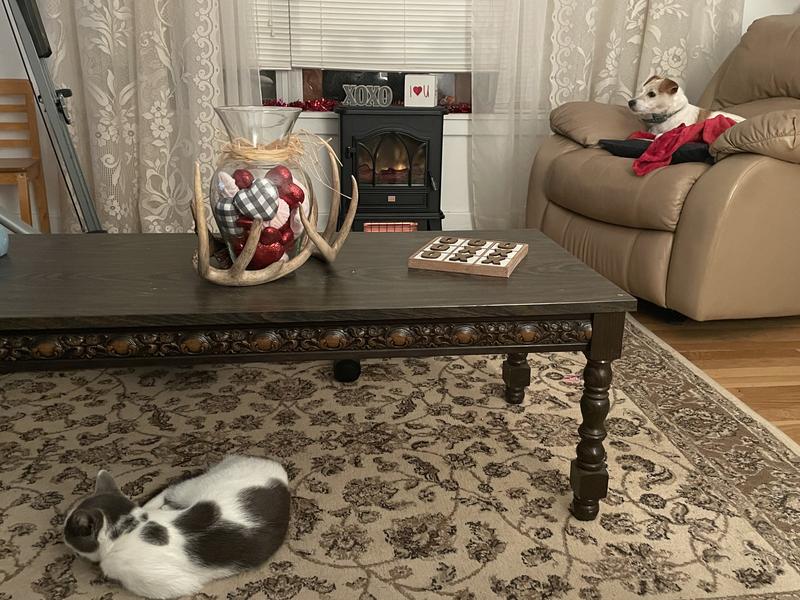 RedStone Infrared Electric Stove Heater, 1,000 sq. ft. at Tractor Supply Co