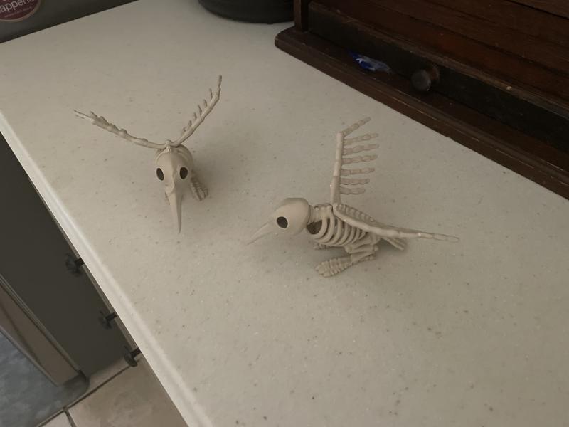 Red Shed 5 in. Hummingbird Skeleton at Tractor Supply Co