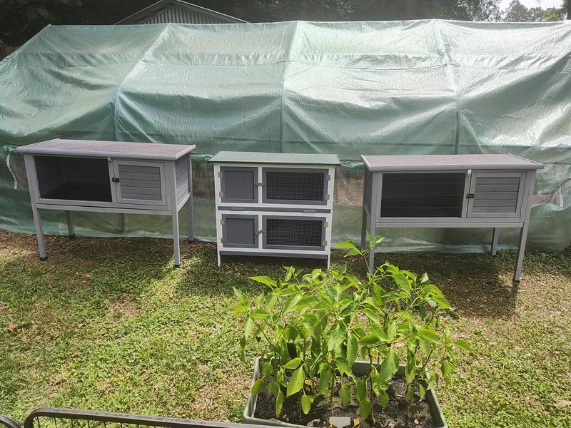 DuMOR 1-Story Outdoor Raised Rabbit Hutch, 47.2 in. x 22.4 in. x 37.4 ...