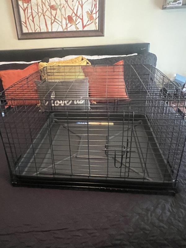 DuMOR Heavy-Duty Rabbit Cage, 30 in. x 30 in. at Tractor Supply Co