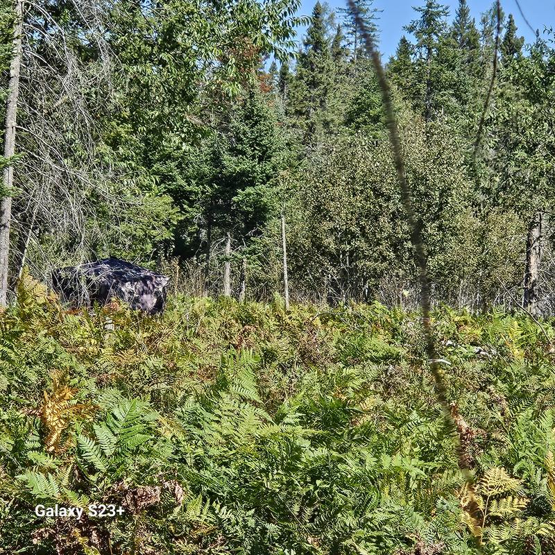 treeline 2-Person Corner Shot Deer Blind, Camo at Tractor Supply Co