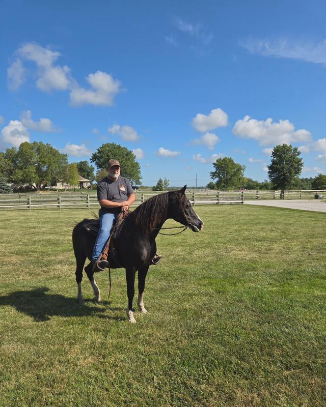 Nutrena ProForce Textured Senior Horse Feed, 50 lb. Bag at Tractor ...