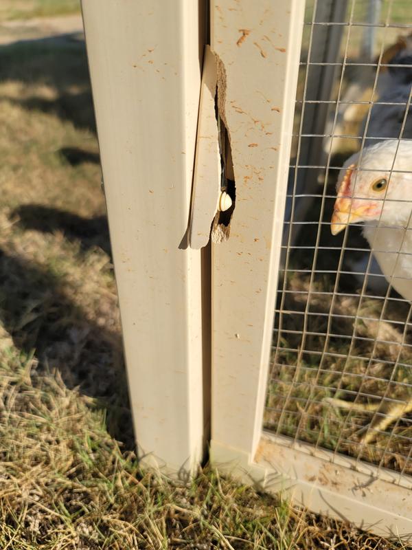 New Age Pet ecoFLEX Jumbo Fontana Chicken Pen at Tractor Supply Co