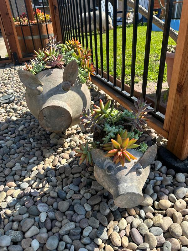 Harper & Willow 5 lb. Iron Small Farmhouse Pig Planters, 19.2 in./24.5 ...