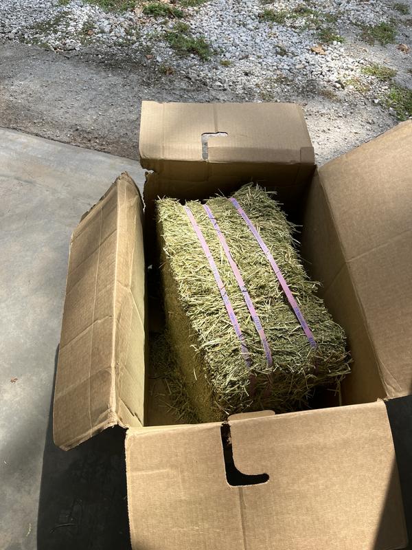 Unbranded Standlee Premium Western Forage Alfalfa Compressed Hay Bale ...