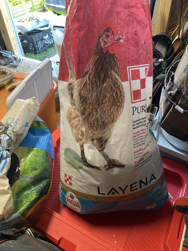Purina Layena Layer Crumbles Chicken Feed at Tractor Supply Co
