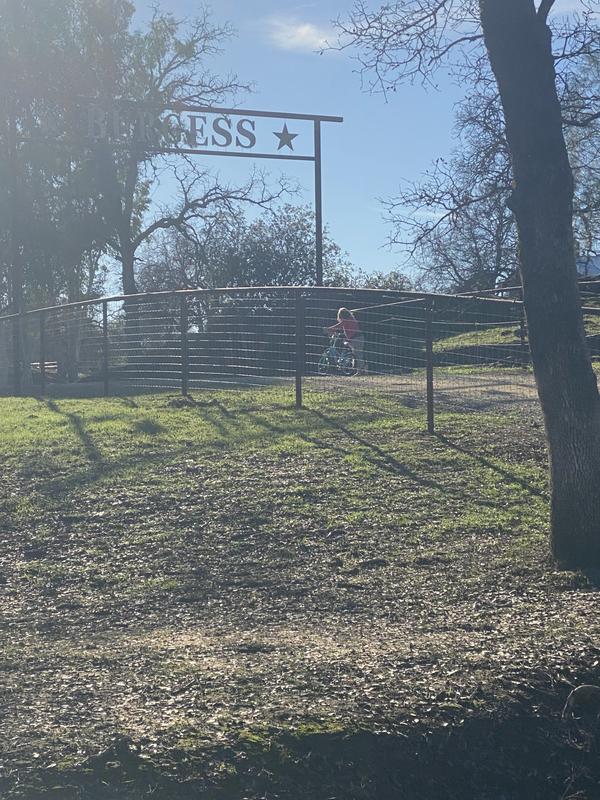 Red Brand 4 in. Mesh 10-Gauge Square Deal Goat and Sheep Wire Fence ...