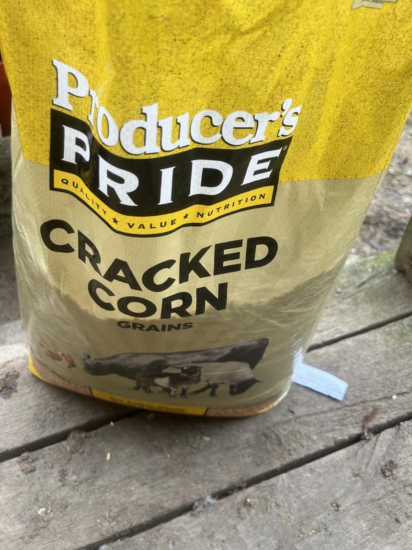 Producer's Pride Cracked Corn Grains Cattle Feed, 50 lb. Bag at Tractor ...