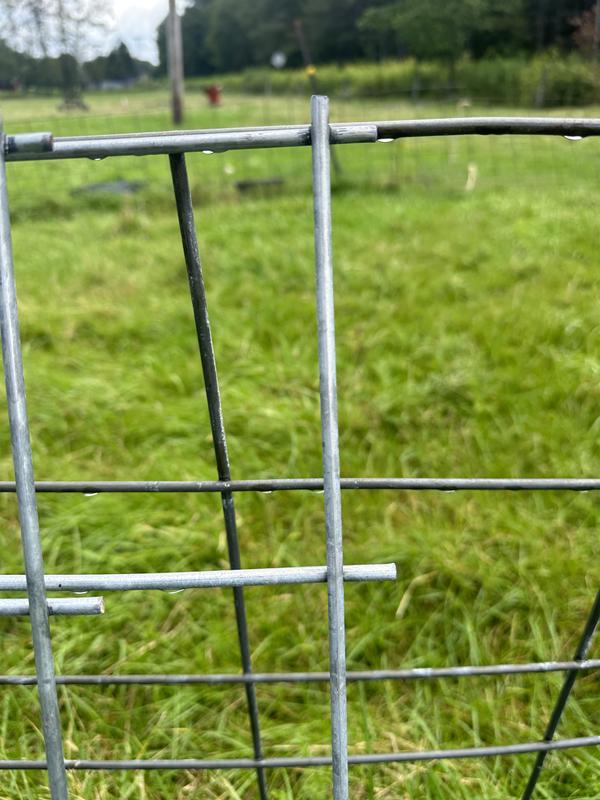 16 ft. x 34 in. Hog Feedlot Panel Fencing at Tractor Supply Co