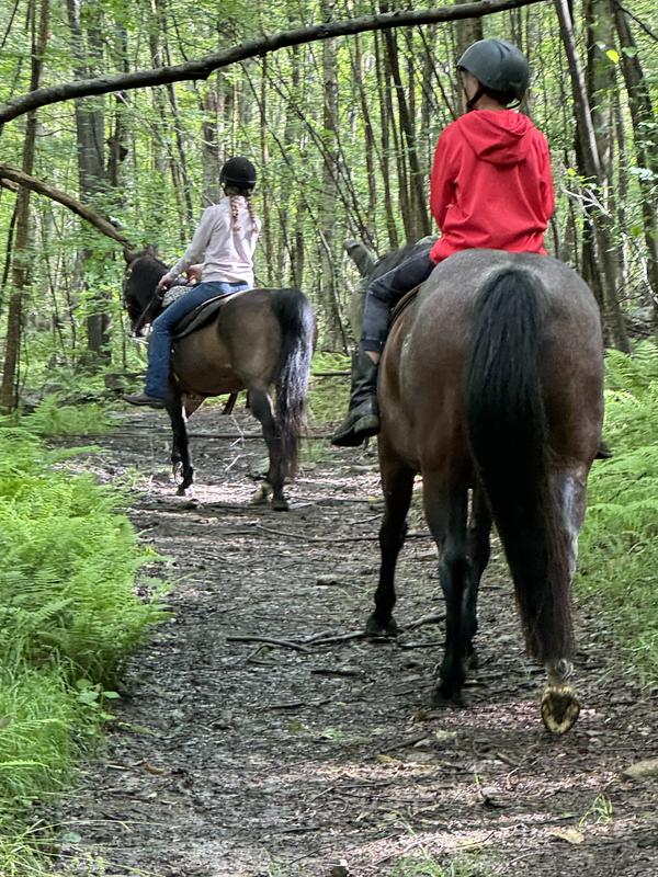 Purina Smart Edge Horse Feed, 50 lb. Bag at Tractor Supply Co.