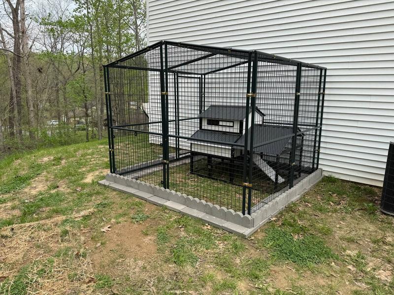 Producer's Pride Universal Poultry Pen, 24 Chicken Capacity, 8 ft. x 8 ...