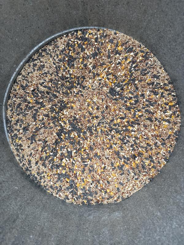 Royal Wing Classic Mix Wild Bird Food at Tractor Supply Co