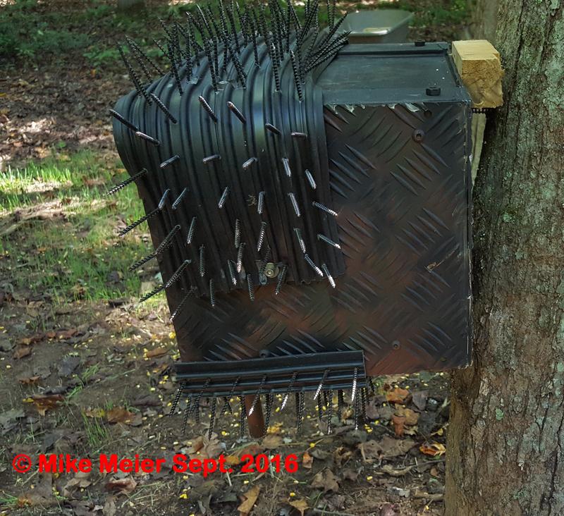 Purina AntlerMax Deer Block with Climate Guard, 33 lb. at Tractor Supply Co